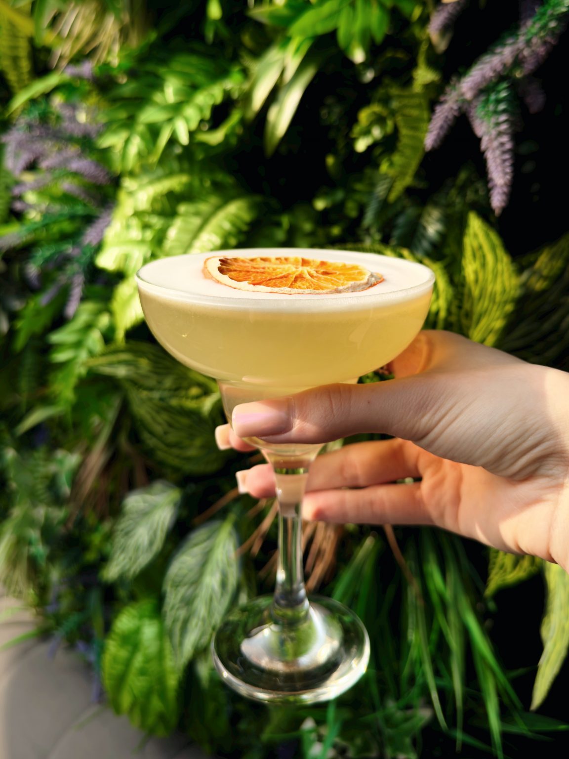 Home Page - VAHA LOUNE